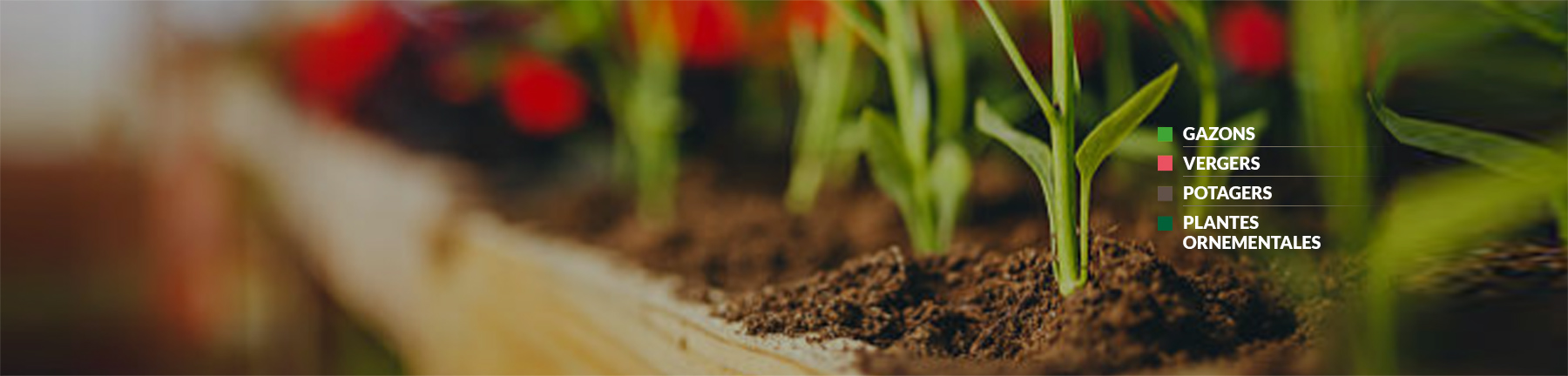 Terra Box - Analyse de terre pour jardinier amateur